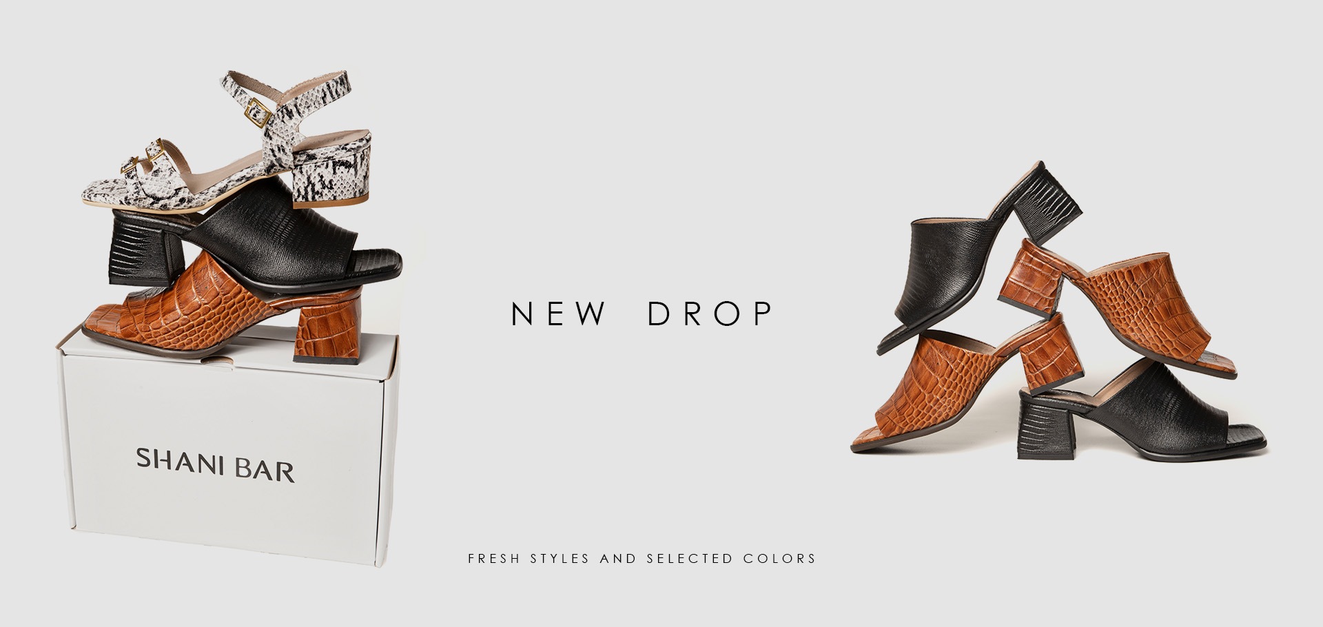 שני בר - ShaniBar